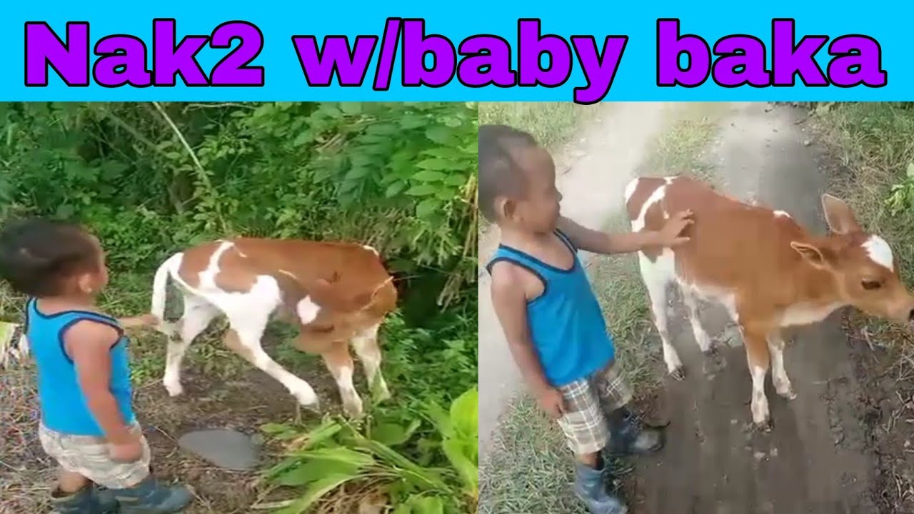 PLAYING WITH BABY BAKA - YouTube