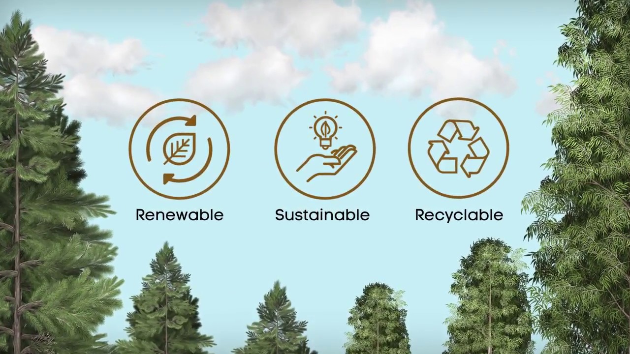 Planted Trees and their Multiple Uses - YouTube