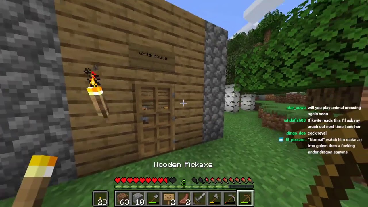 A completely normal Minecraft Survival World - YouTube