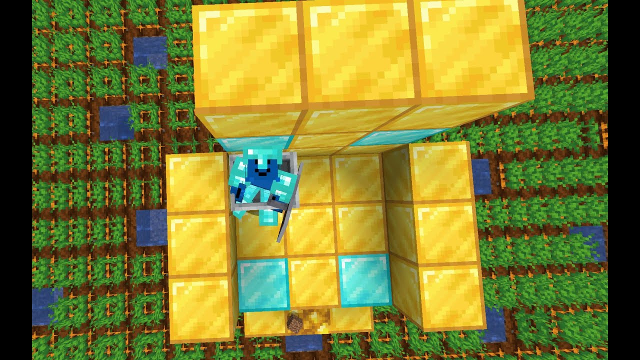 I became the carrot king - YouTube