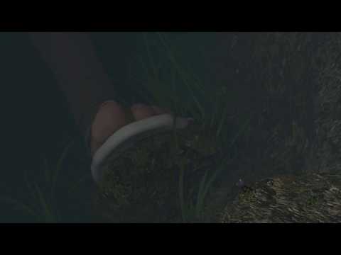 GTS Through the Grass Animation
