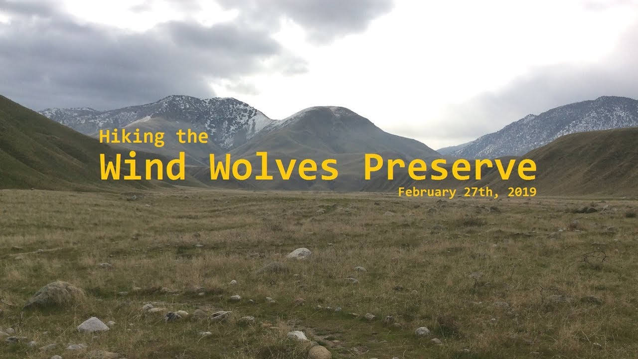 Hiking the Wind Wolves Preserve - YouTube
