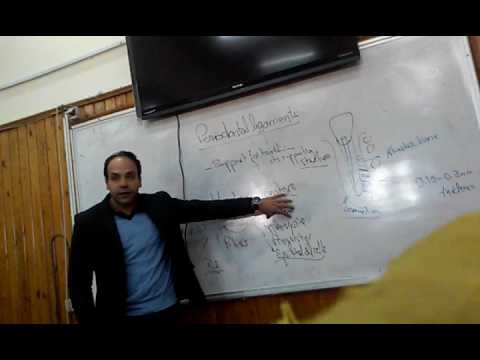 periodontal ligament DR.Monier - YouTube