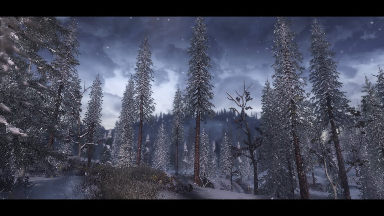 A Fantasy Forest Overhaul Version 1.2 for Skyrim 3D Trees-New Winter ...
