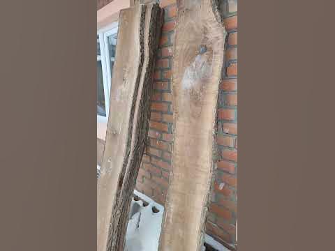 Спил грецкого ореха - YouTube