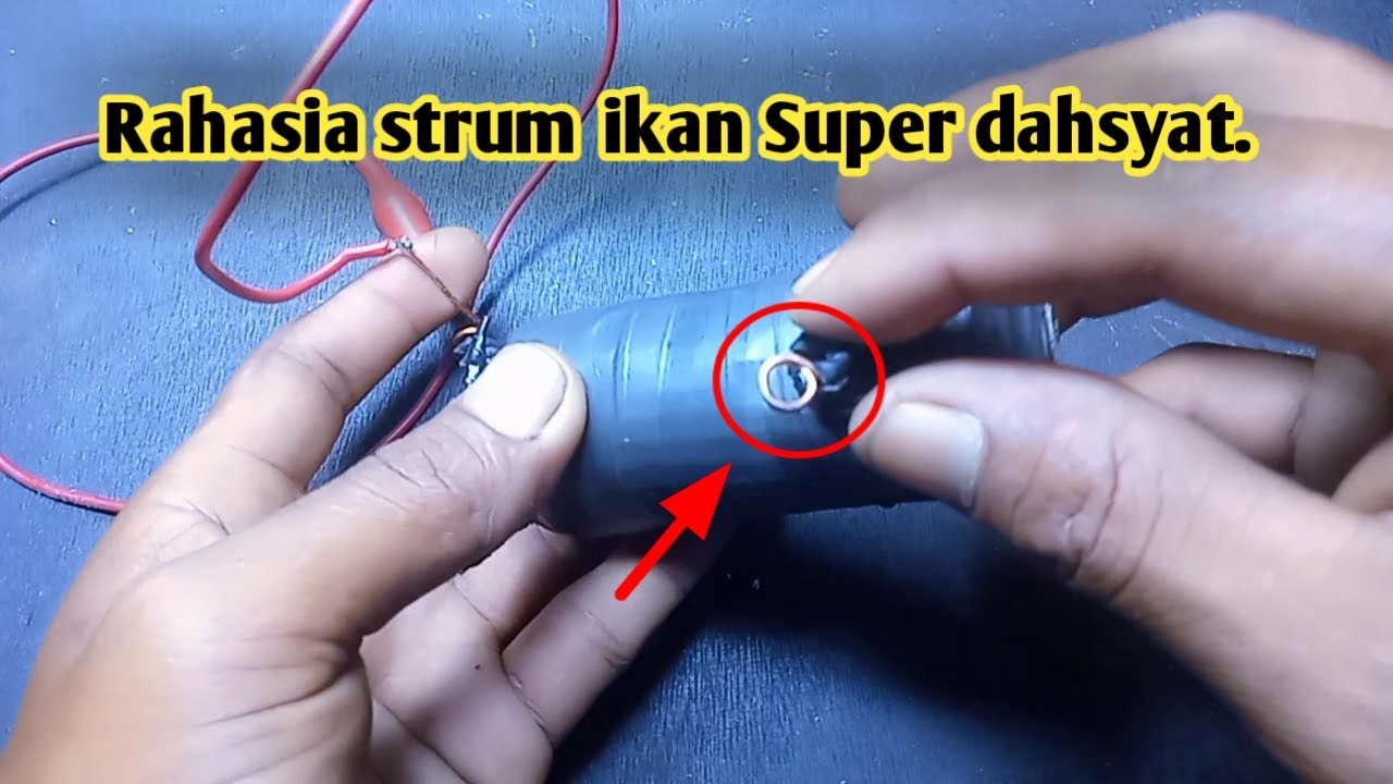 Cara membuat setrum ikan super dahsyat. - YouTube