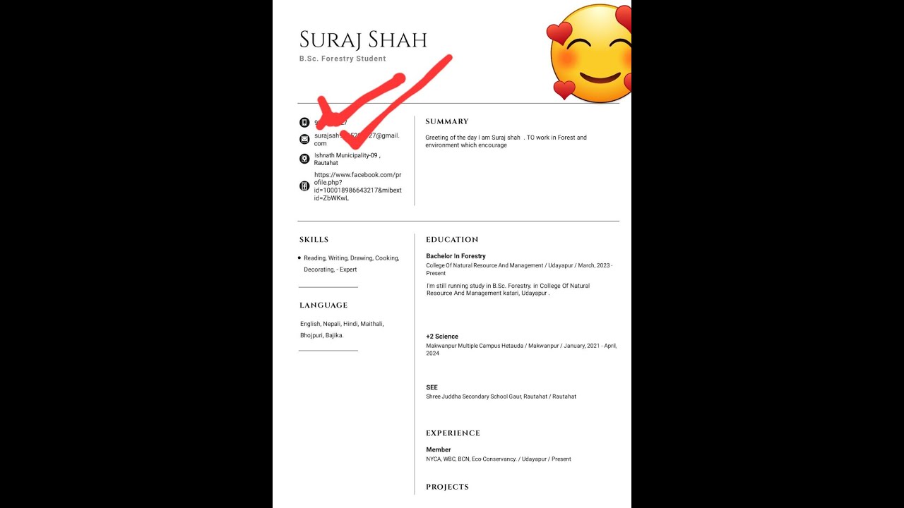 How to create a professional CV/ How to make a professional Bio-Data ...