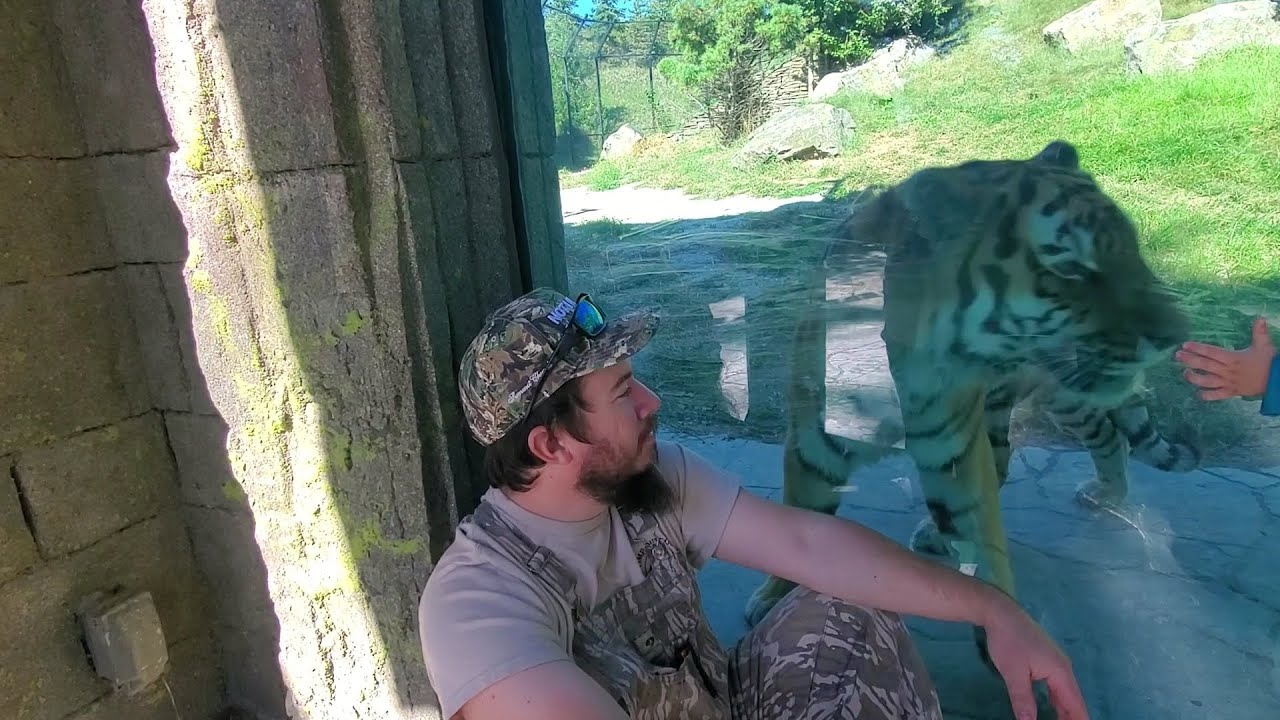 Visiting the Nebraska Zoo! Part 1 - YouTube