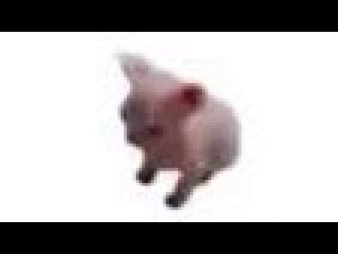 bingus dancing - YouTube