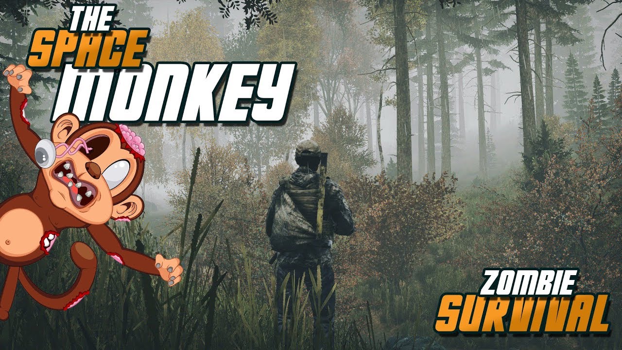 DayZ Standalone - Zombies, Dead Cowards and Mods. - YouTube