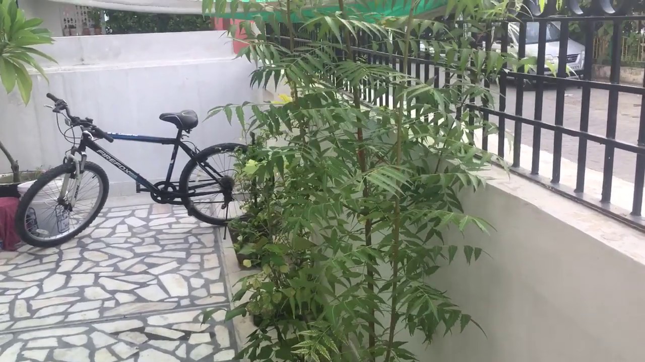 Tree Each one plant one - Save Environment - YouTube