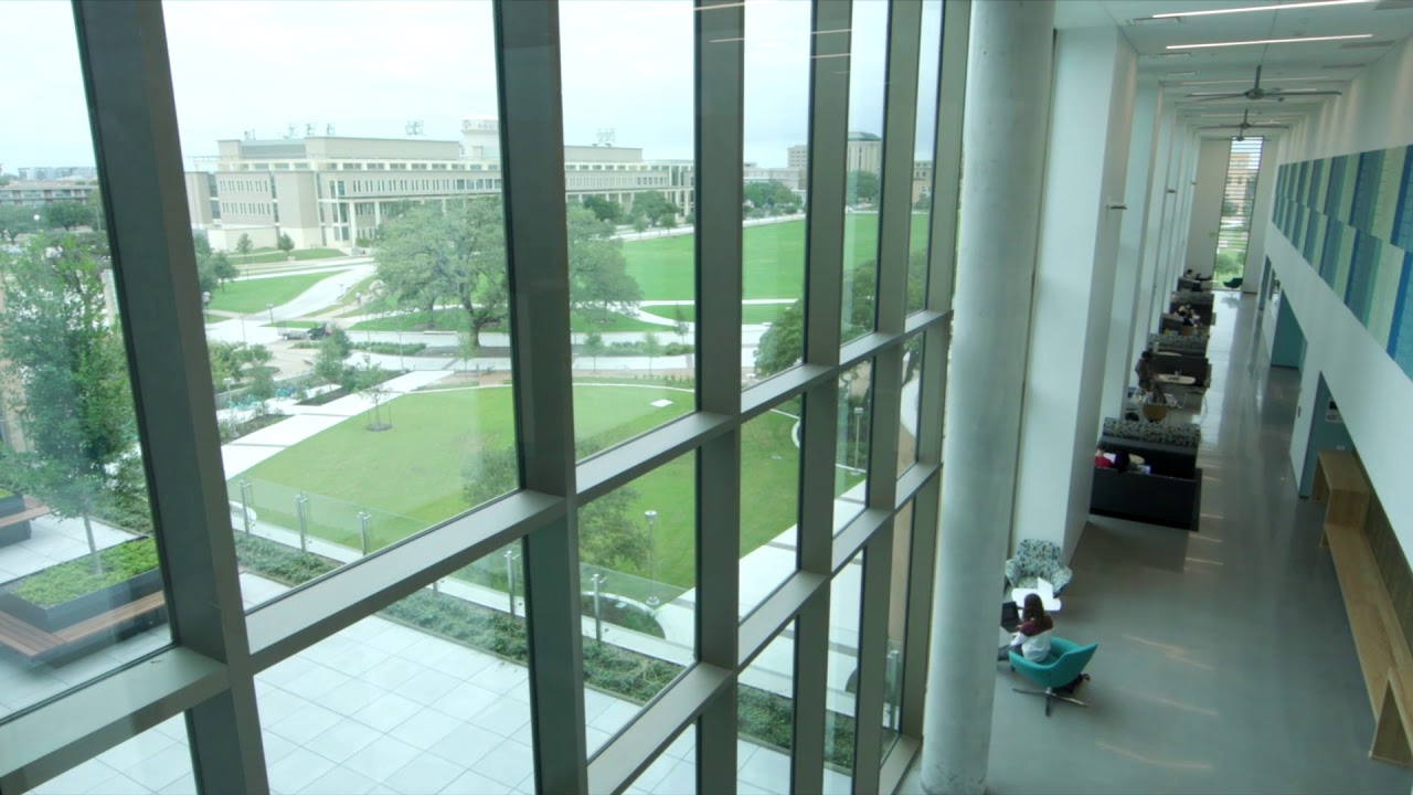 The Grove Art Wall - YouTube