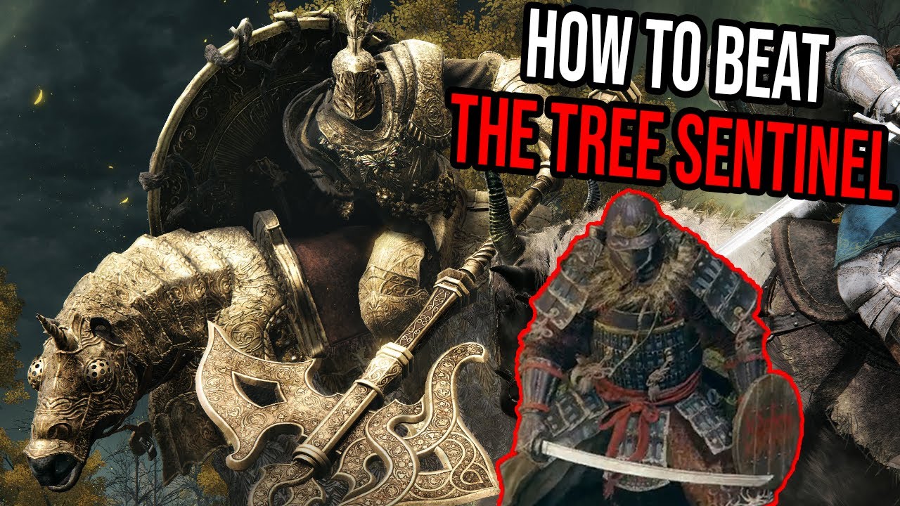 How to beat the Tree Sentinel (Elden Ring) - YouTube