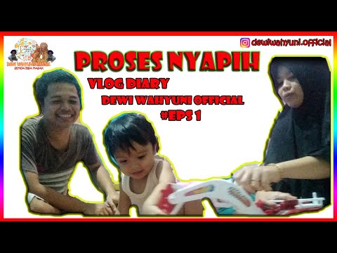 PROSES NYAPIH ! VLOG DIARY DEWI WAHYUNI OFFICIAL  ! EPS 1