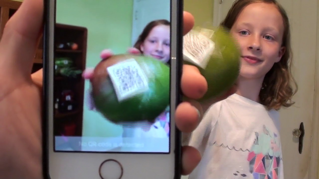 Talking Zebra App Introduction - YouTube