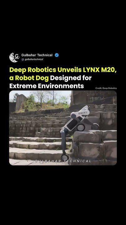 The Most Advanced Robot Dog Ever? Meet LYNX M20! 🧠🐕🚀 - YouTube