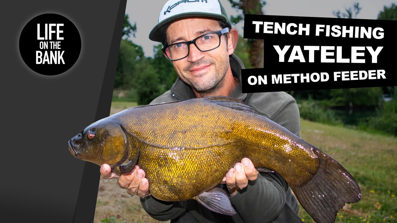 TENCH FISHING ON METHOD FEEDER - YouTube
