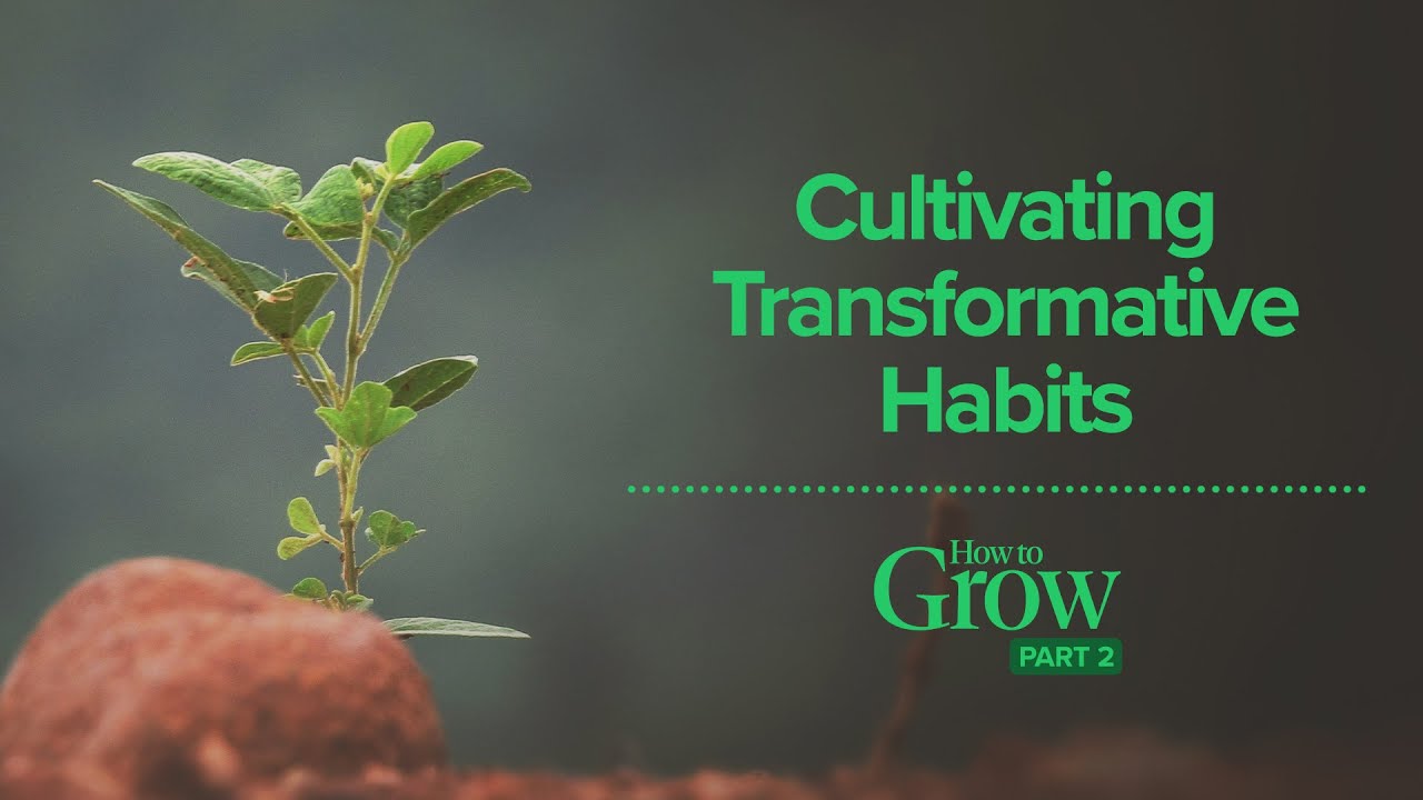 How to Grow | Cultivating Transformative Habits - YouTube