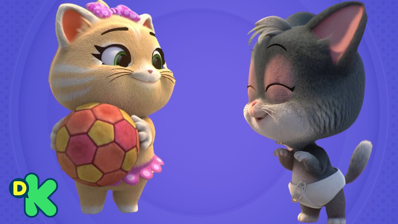 O novo amigo felino de Pilou | 44 Gatos | Discovery Kids Brasil - YouTube