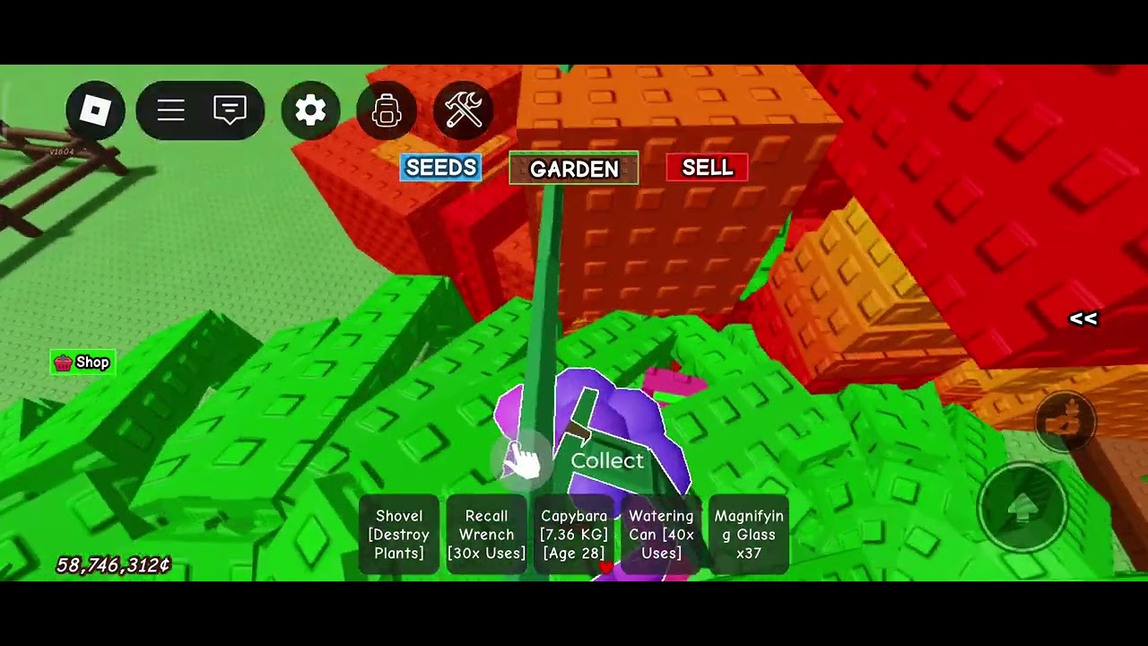 Проверяем миф про Tall bacon #roblox #tallbacon #tall #bacon #proverka ...