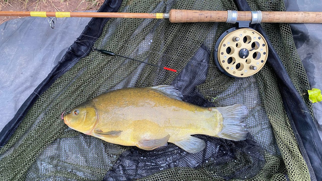 Tench on a float cane rod and centrepin - YouTube