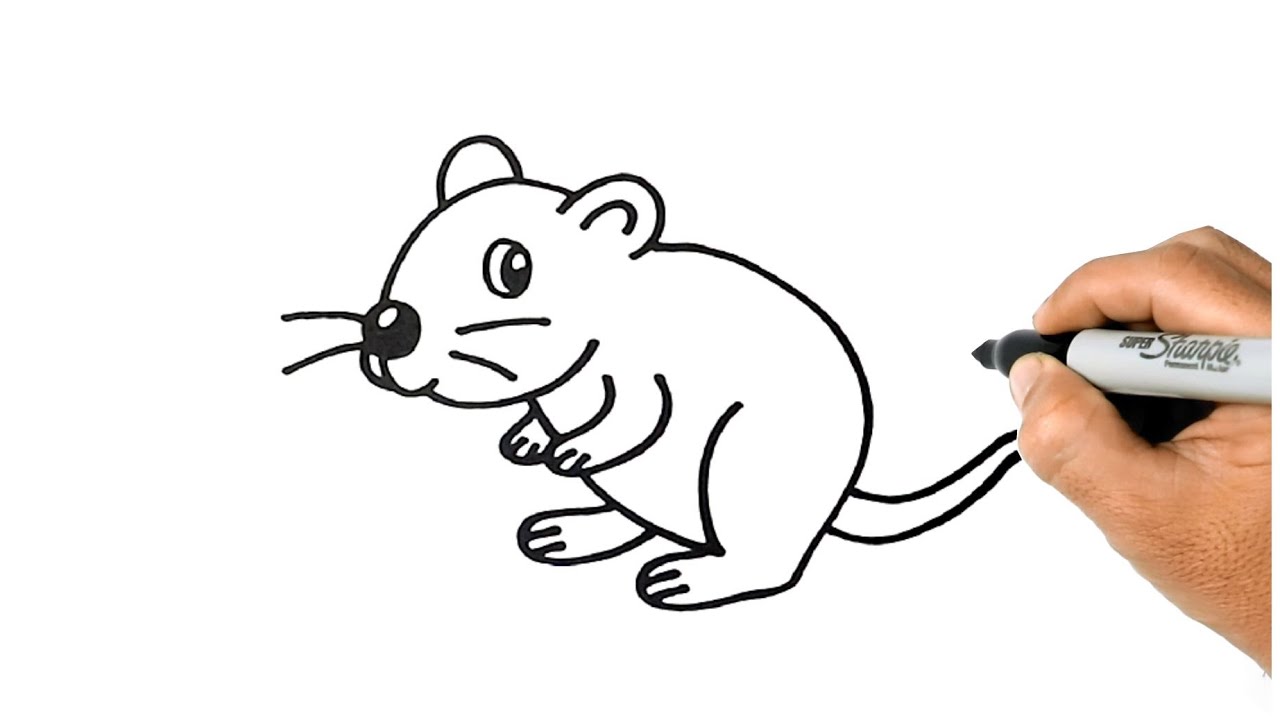 How to Draw a GERBIL Easy and Simple - YouTube