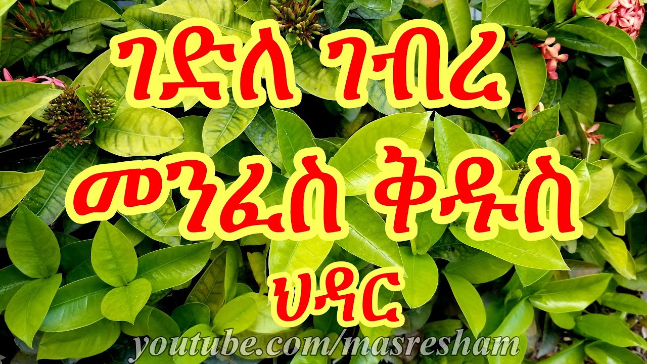 ገድለ ገብረ መንፈስ ቅዱስ ህዳር - Gedile Gebre Menfes Kidus - Hidar - YouTube