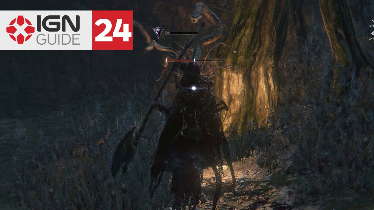 Bloodborne Walkthrough - Forbidden Woods (Part Twenty Four) - YouTube