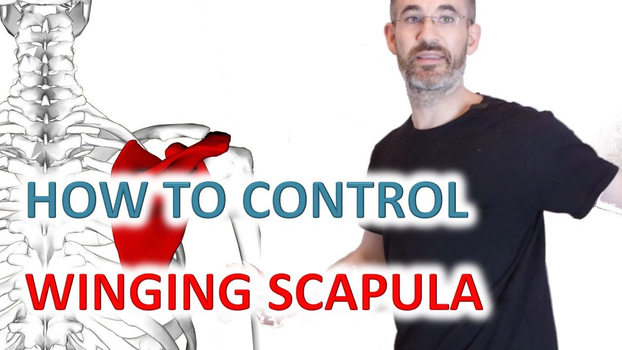 How to Fix Scapular Winging - 3 Daily Situations To Fix To Improve ...