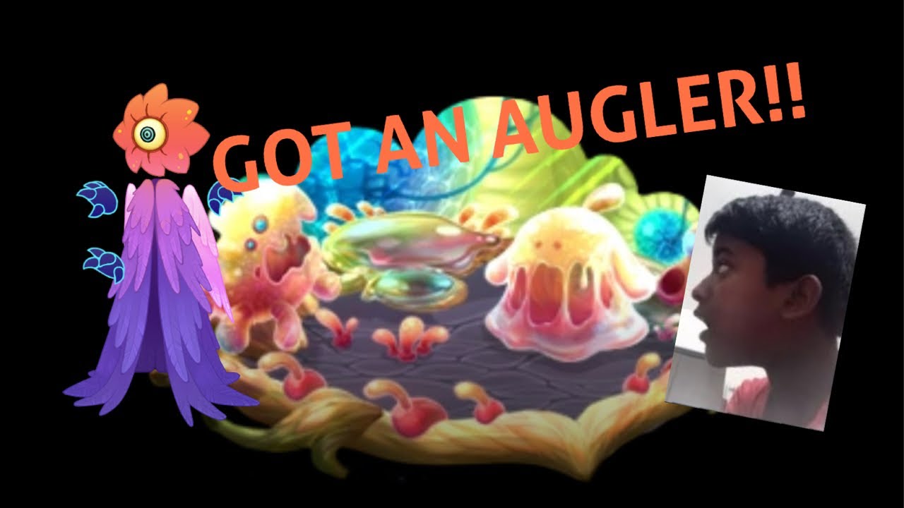 GOT THE AUGLER - YouTube