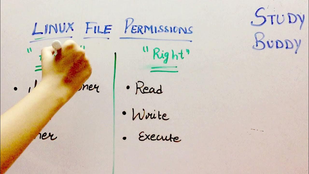 Linux File System and File Permissions - YouTube