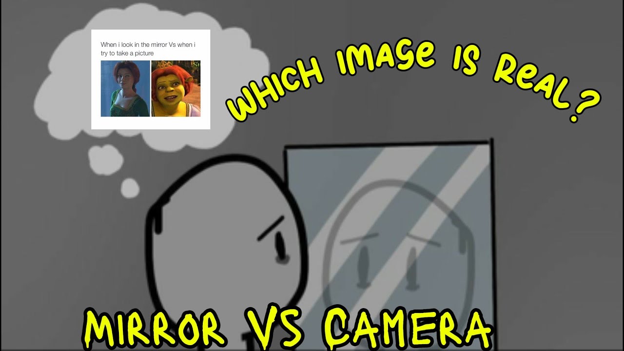 You’ve Never Seen Your Own Face — Here’s the Science Behind Mirrors ...