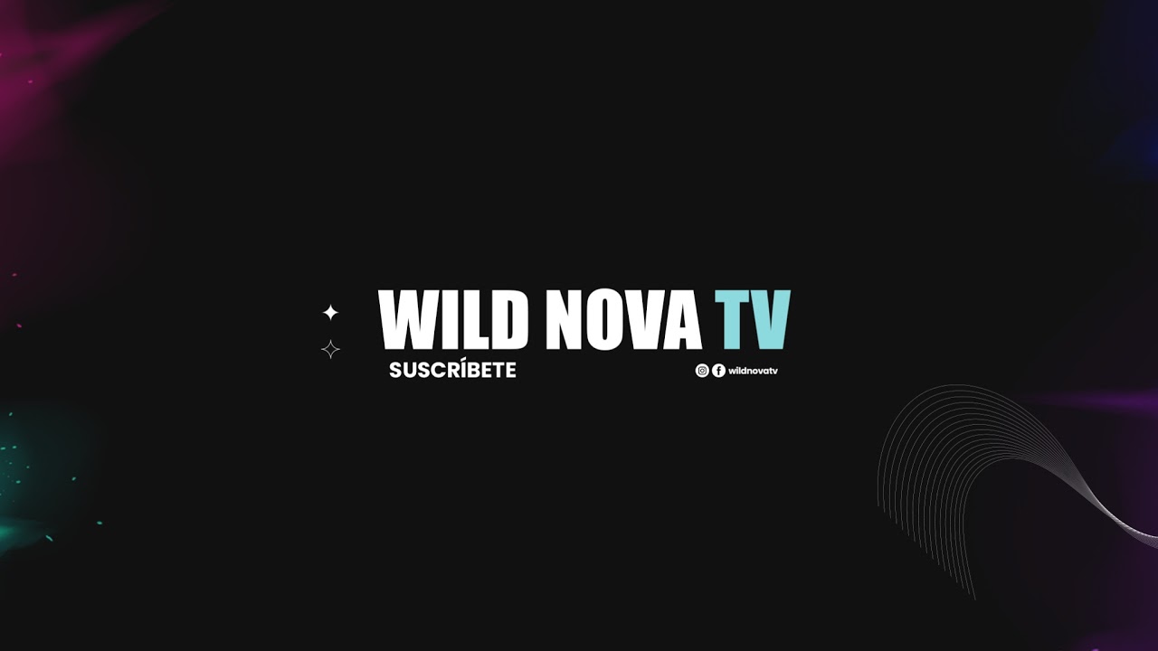 Wild Nova Live Stream - YouTube