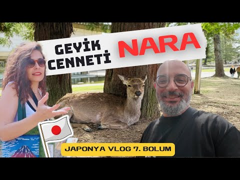 NARA : GEYİKLERLE İÇ İÇE BİR GÜN(Japonya Gezi)