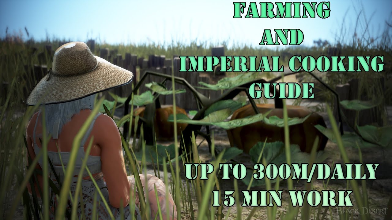 BDO - Farming and Imperial cooking guide - make up to 300m/day - YouTube