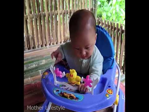 Into the Jungle: My Journey as a Solo Mom