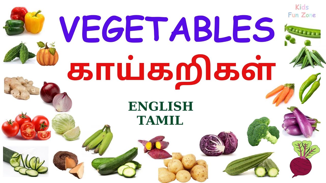 Vegetables Name in English and Tamil |காய்கறிகளின் பெயர்கள்| # ...