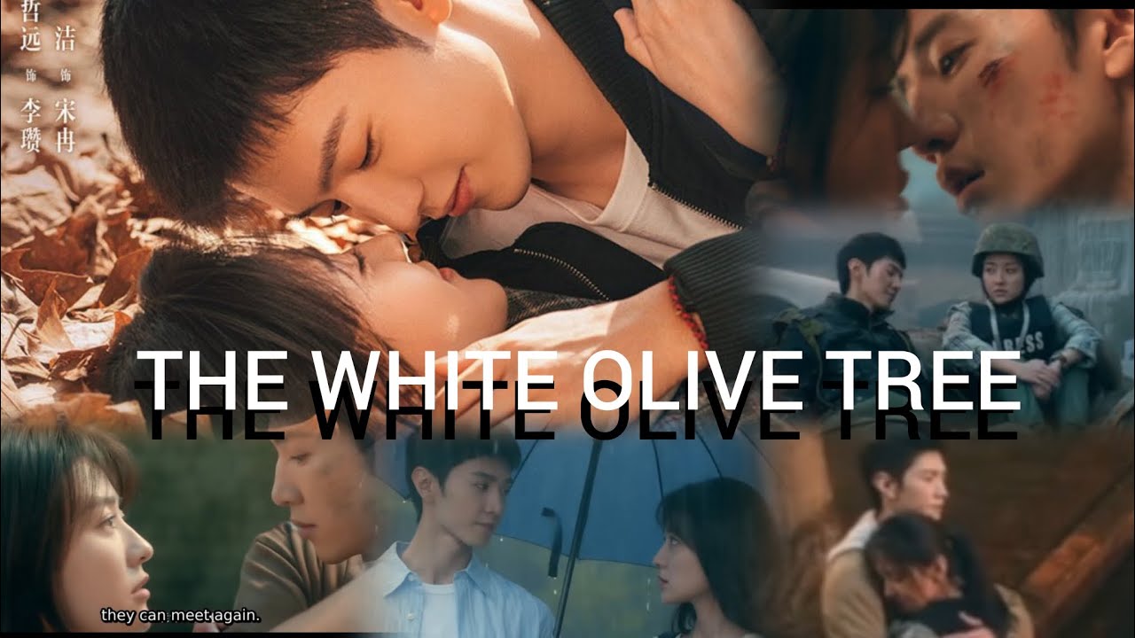 new Chinese romantic drama. The white olive tree ( cast : chen zhe yuan ...