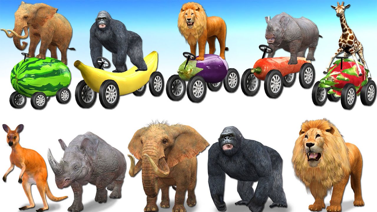 animlas fruits & vegetables Car Race For KIds - YouTube