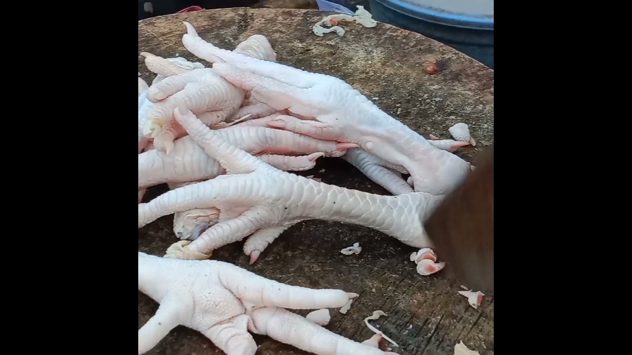 Membersihkan kaki ayam / CUTTING CHICKEN FEET - YouTube