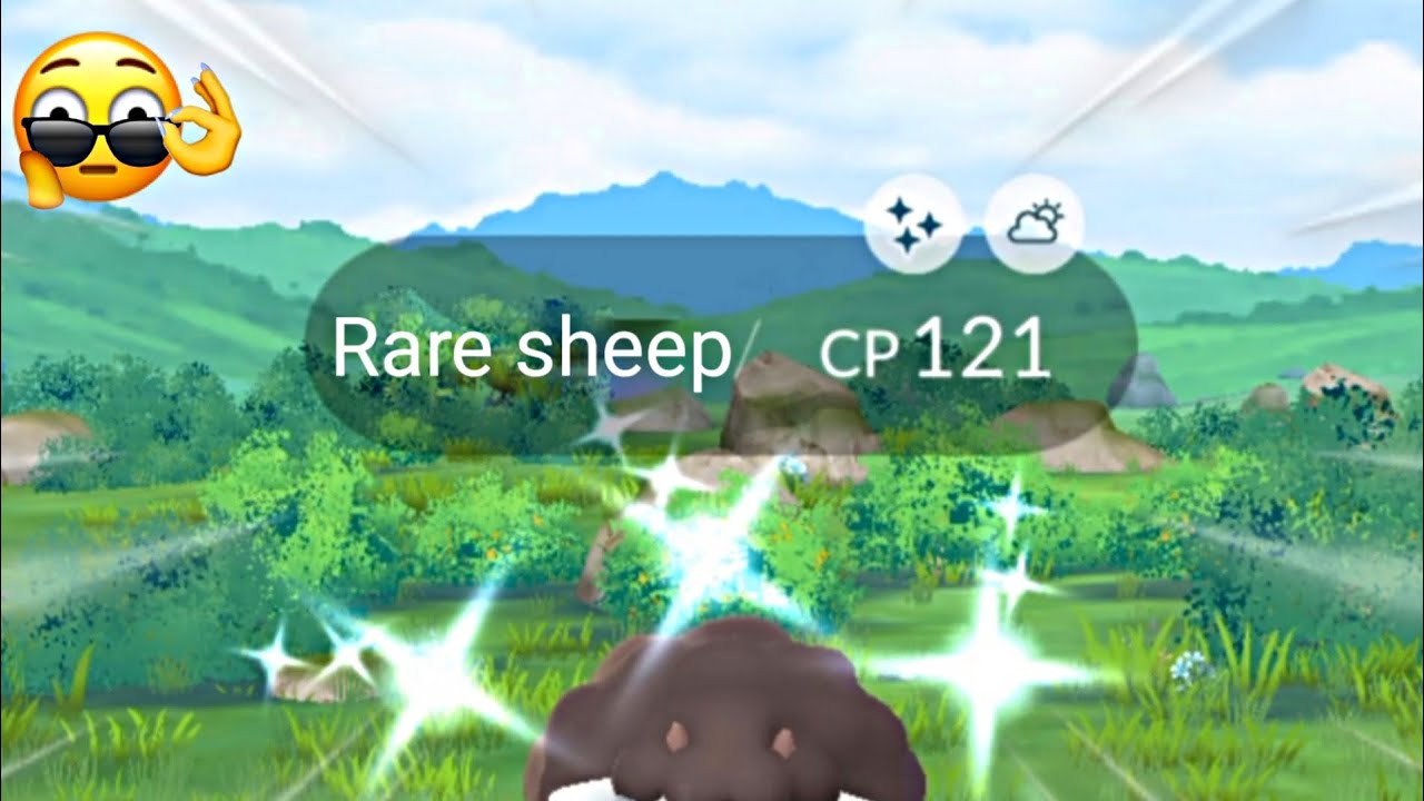 Finally🤩😍Got this Most Rare and awaited shiny sheep in ...