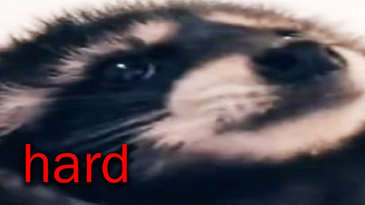 Pedro Pedro Pedro Meme - Piano Tutorial - YouTube