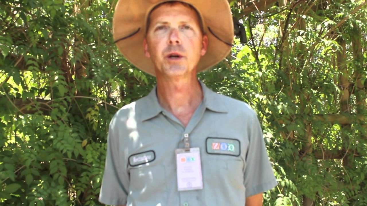 Behind-the-Zoo: An Interview with Horticulture - YouTube