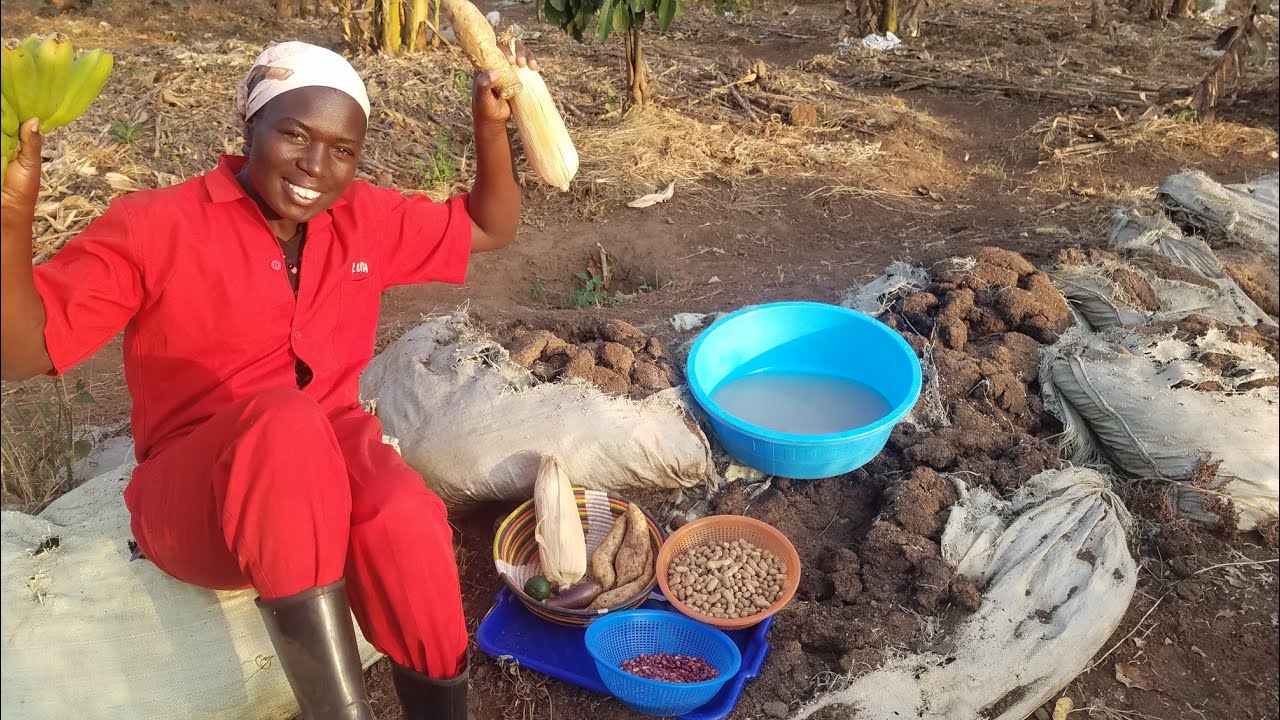 10 Things that have helped me to Farm in Semi Arid areas - YouTube