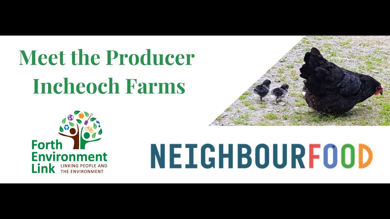 Meet the Producer Incheoch Farm - YouTube