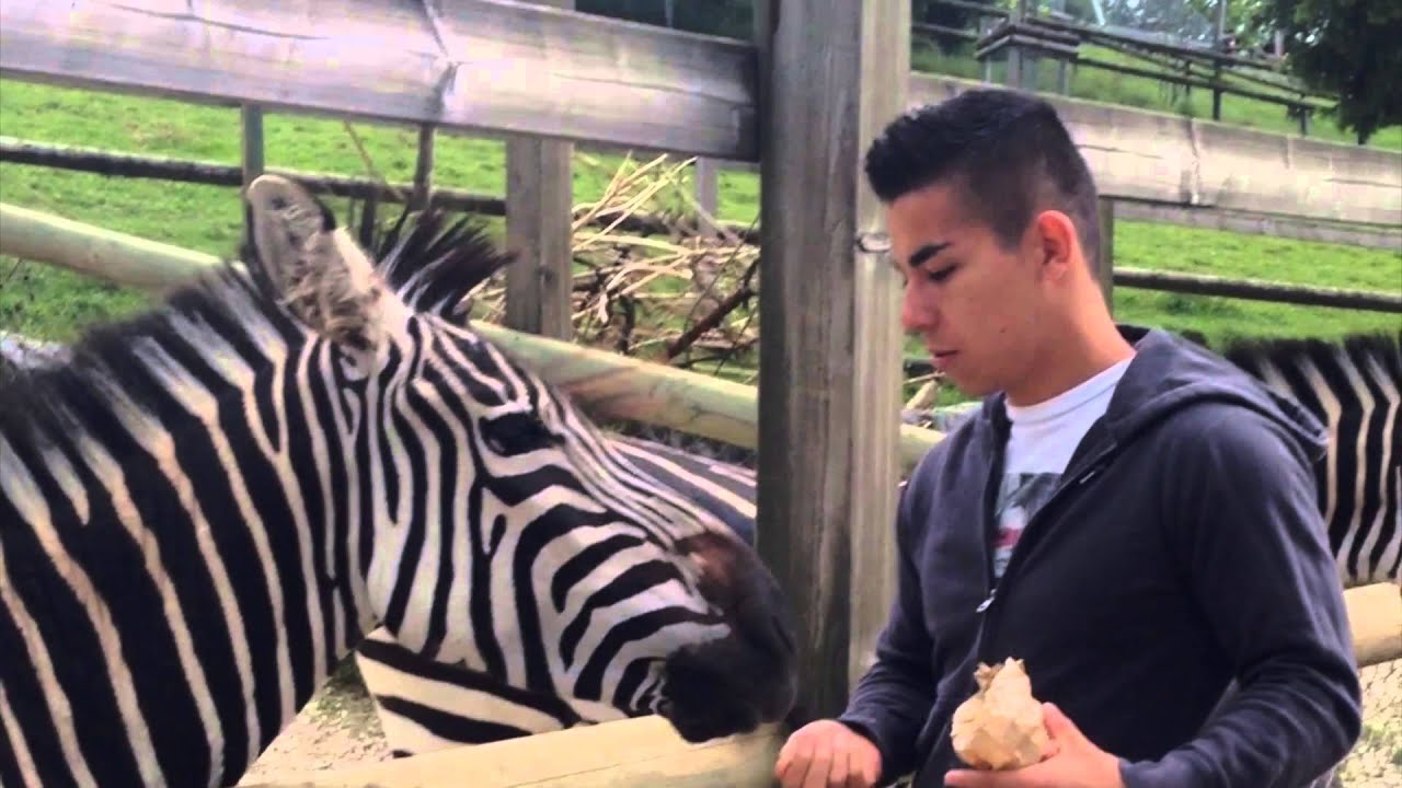 Zoo Date - YouTube