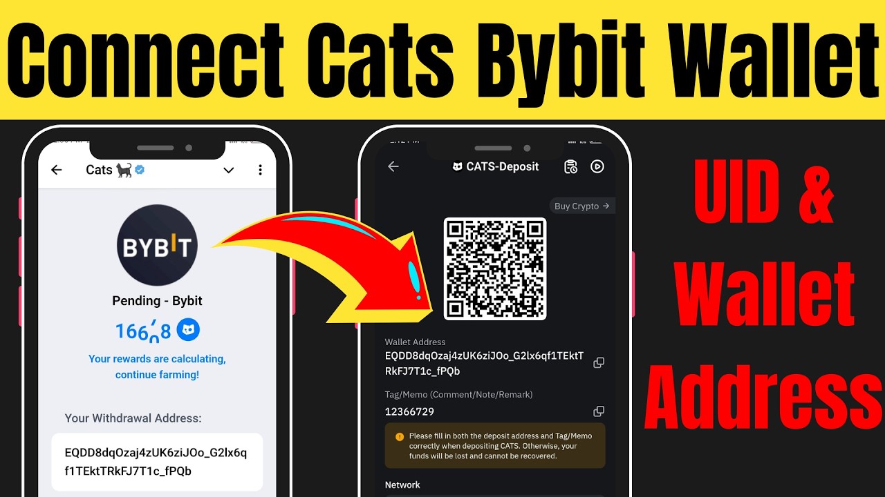How To Connect Cats Bybit Wallet | Cats Airdrop Withdrawal Bybit ...