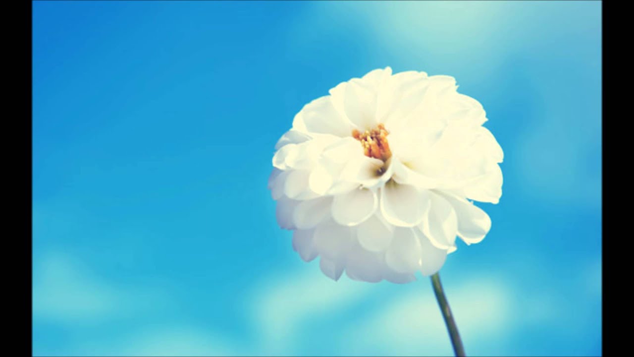 Loving, Never Forgetting OST - what to do inst - YouTube