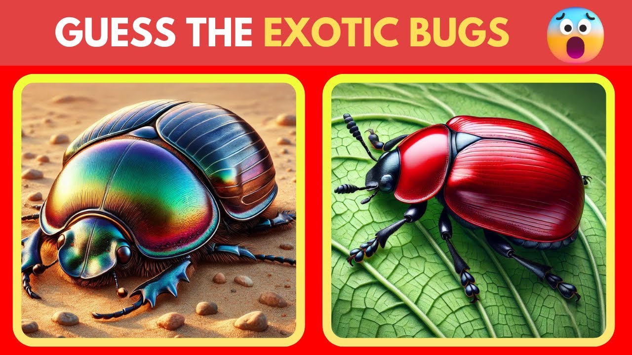 (BUGS) Can you figure out these exotic BUGS? 🧠🧩 Let's do it together. 😊 ...