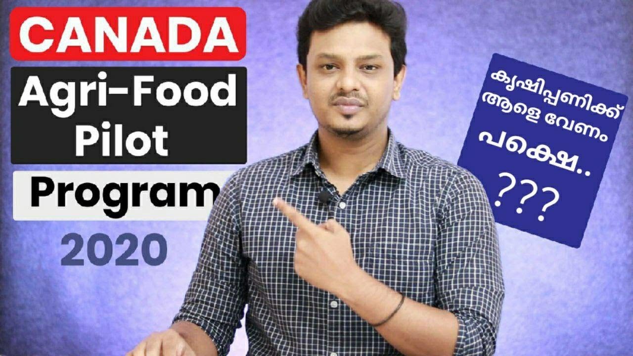 Canada Agri Food Pilot program Reality Explained in Malayalam - YouTube